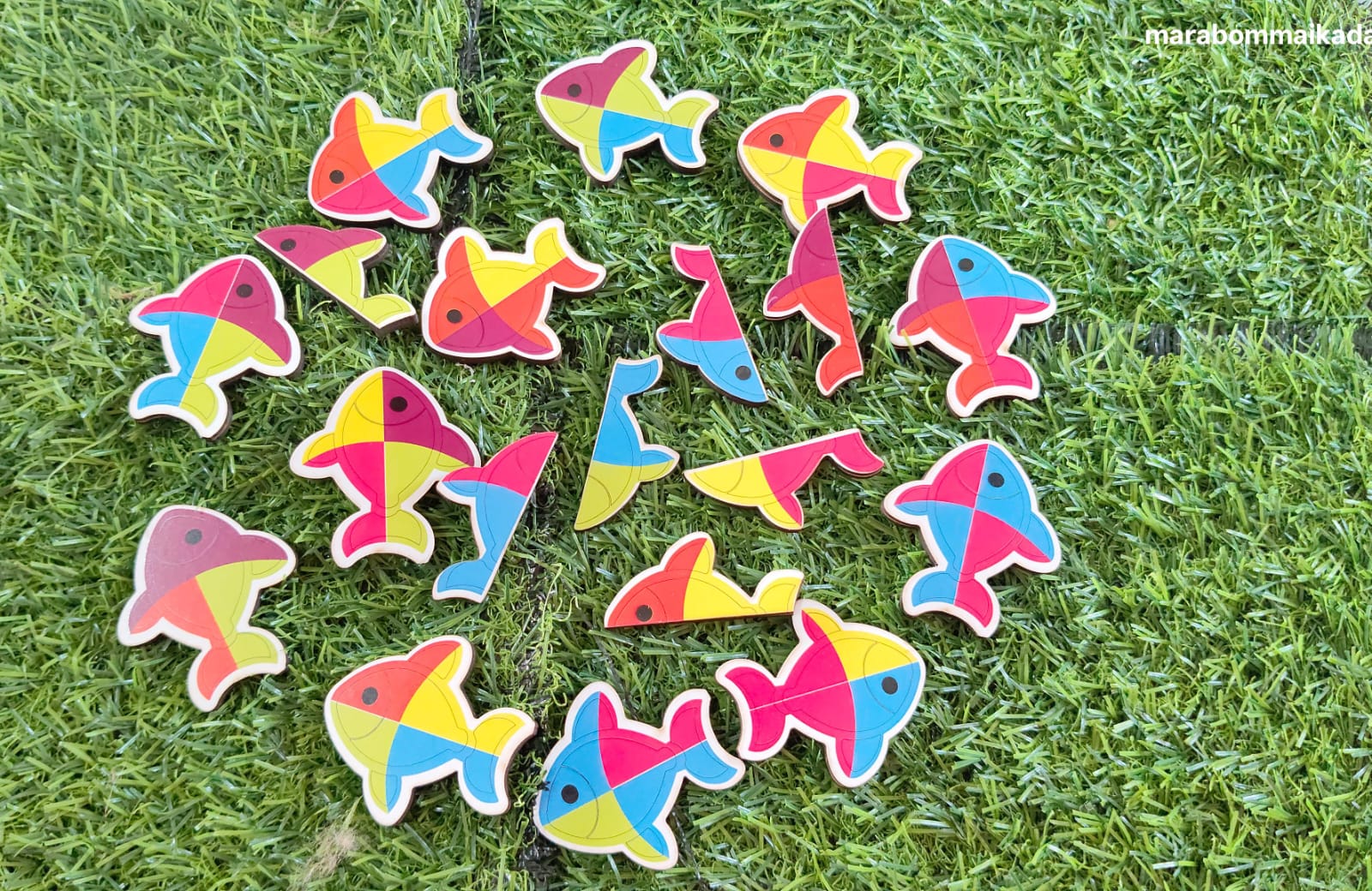 Visual Discrimation Toy Fish Theme